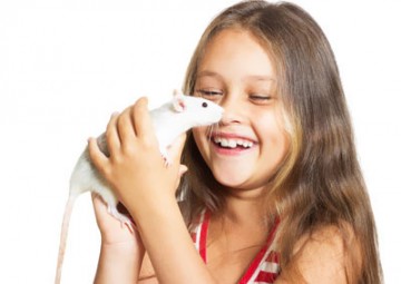 Ist eine Ratte als Haustier für Kinder geeignet? Netpapa.de